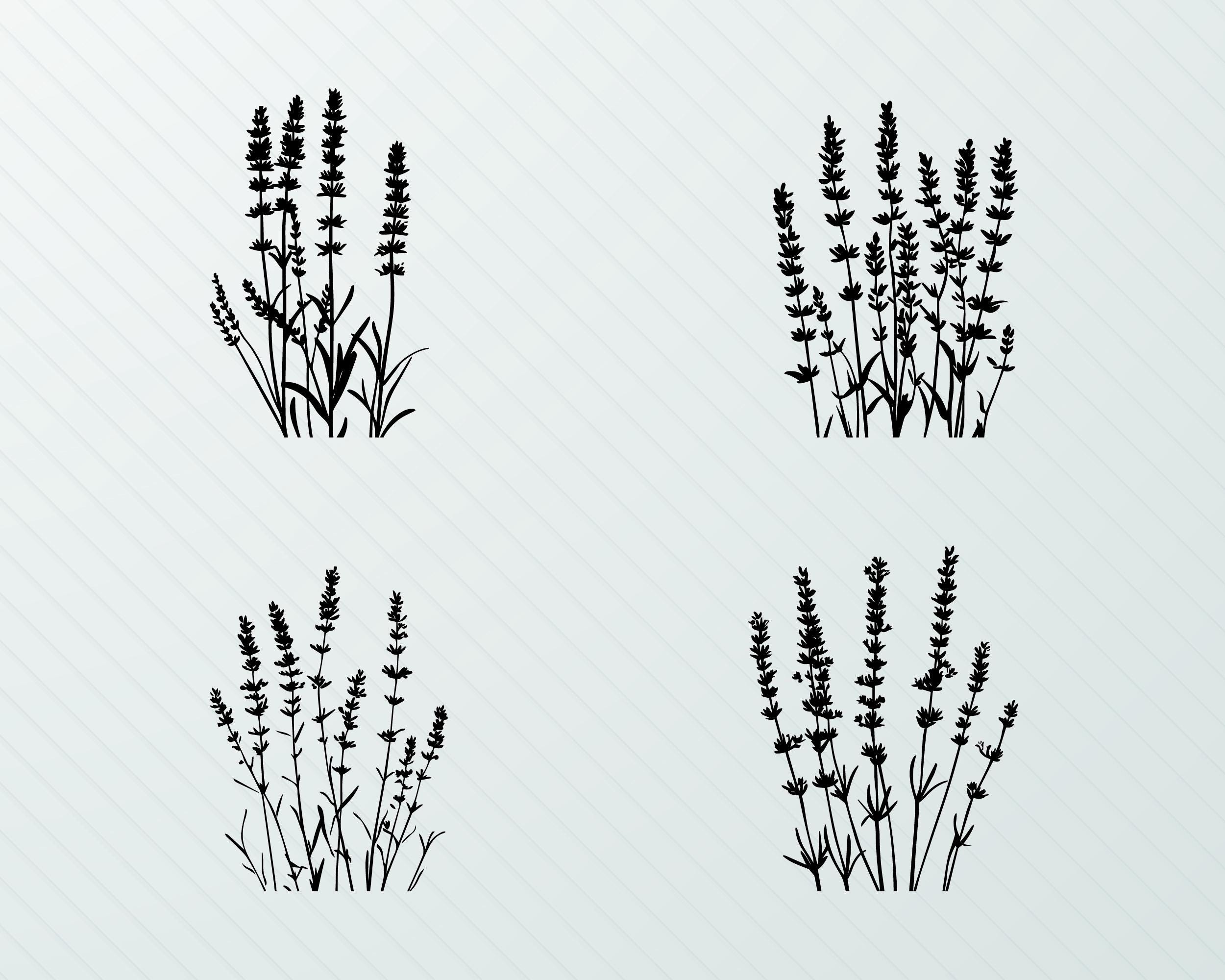 Lavender Flower Svg Cut File, Lavender Flower Png, Clipart, Lavender ...