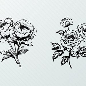 Peony Flowers Svg, Peony Png, Floral Clipart, Peony Birth Month ...