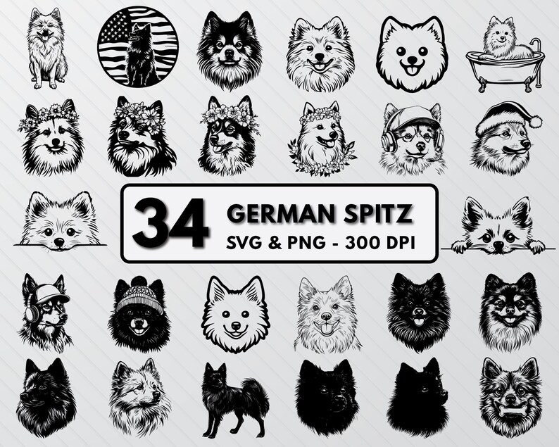 German Spitz Svg Bundle, German Spitz Dog Silhouette Svg, Dog Breeds ...