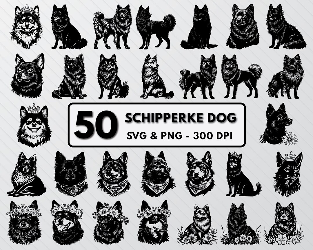 Schipperke Dog Svg, Schipperke Silhouette Svg, Dogs Clipart, Schipperke ...