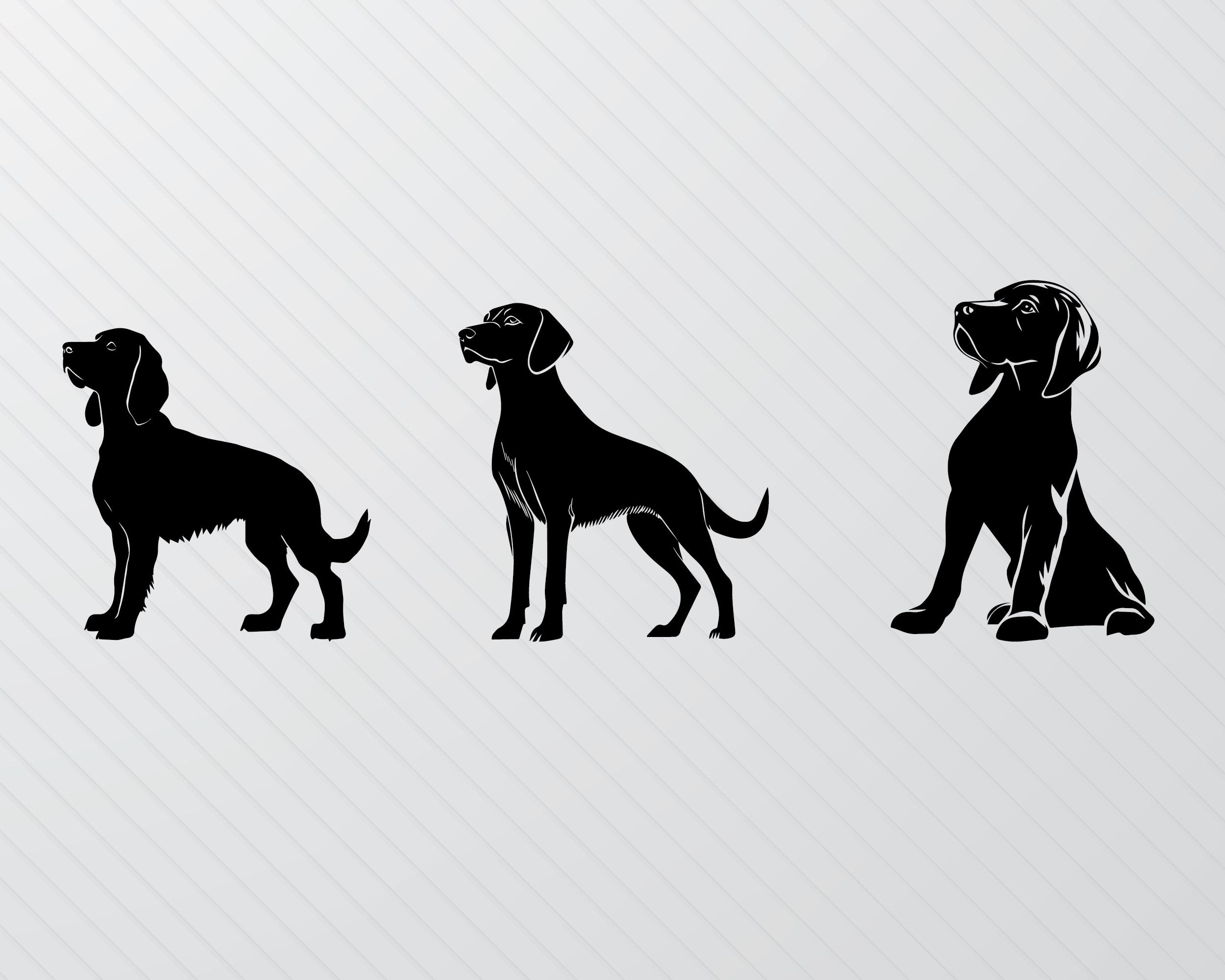 Bracco Italiano Svg Bundle, Bracco Italiano Silhouette, Dog Designs Png ...