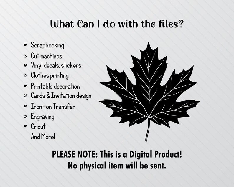 Maple Leaf Svg Bundle, Maple Leaf Silhouette Art, Maple Leaf Clipart Png, Maple Leaf Outline Cut ...