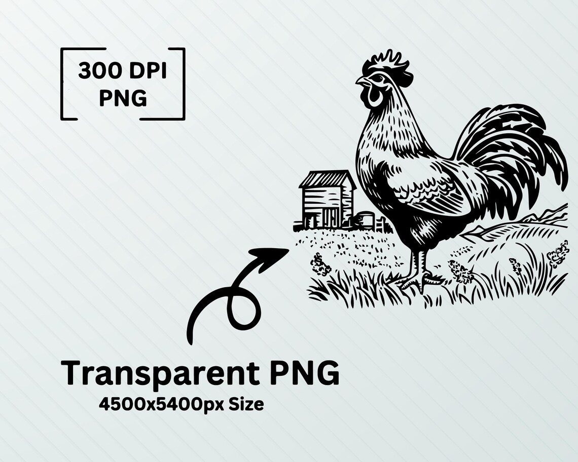 Rooster Scene SVG PNG: Farm Clipart, Chicken Designs (cut Files) - Etsy