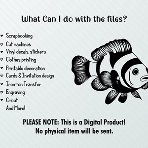 Clownfish SVG PNG Bundle: Silhouette Clipart Vector (300 DPI) - Etsy