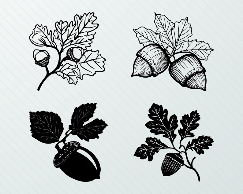 Acorn Svg Png, Acorn Clipart, Acorn Silhouette, Fruit Decal, Acorn ...