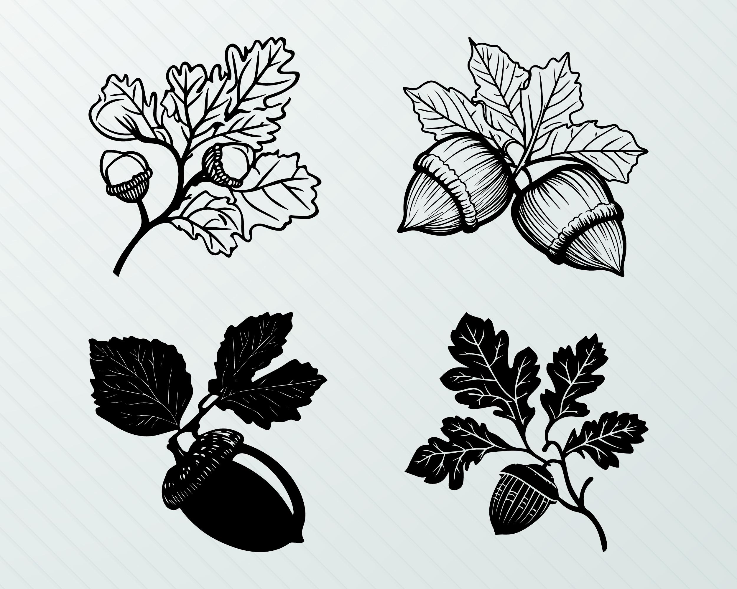 Acorn Svg Png, Acorn Clipart, Acorn Silhouette, Fruit Decal, Acorn ...