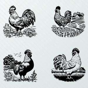 Rooster Scene Svg, Rooster PNG, Farm Rooster Clipart, Rooster ...