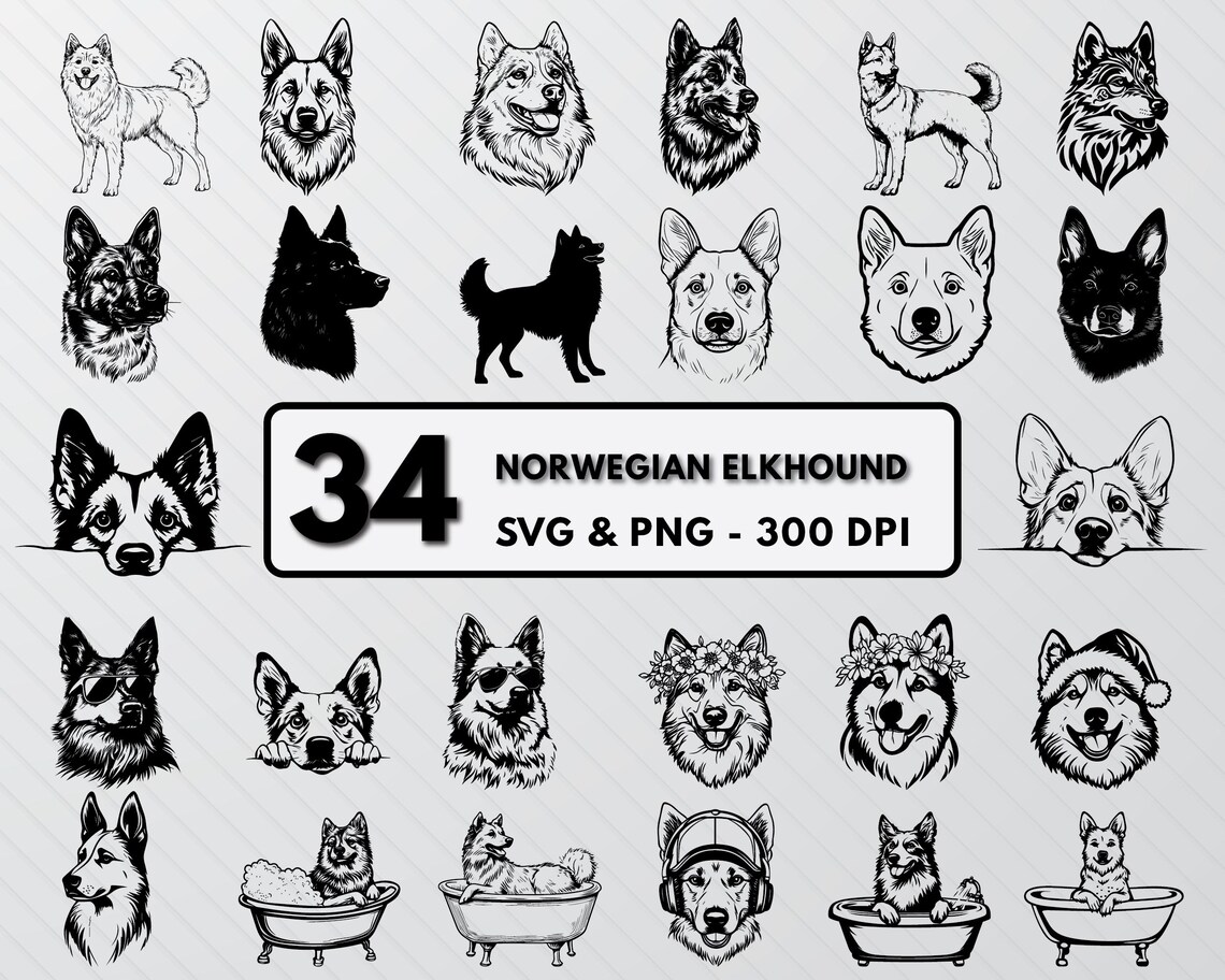 Norwegian Elkhound SVG Bundle: Dog Breeds Clipart, Floral Puppy PNG - Etsy