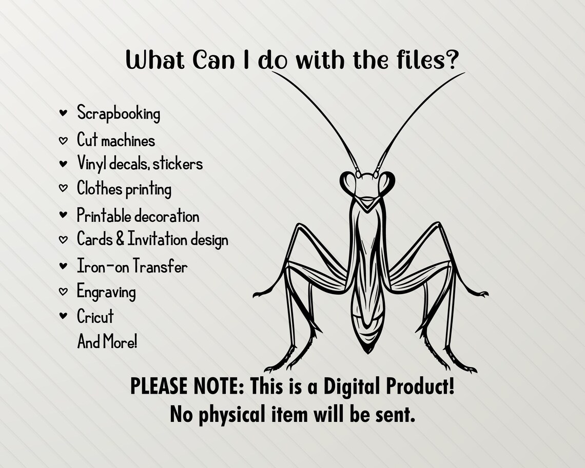 Praying Mantis Svg Bundle, Praying Mantis Silhouette, Mantis Svg Vector ...