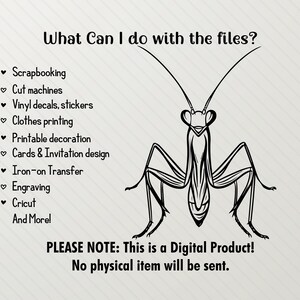 Praying Mantis Svg Bundle, Praying Mantis Silhouette, Mantis Svg Vector ...