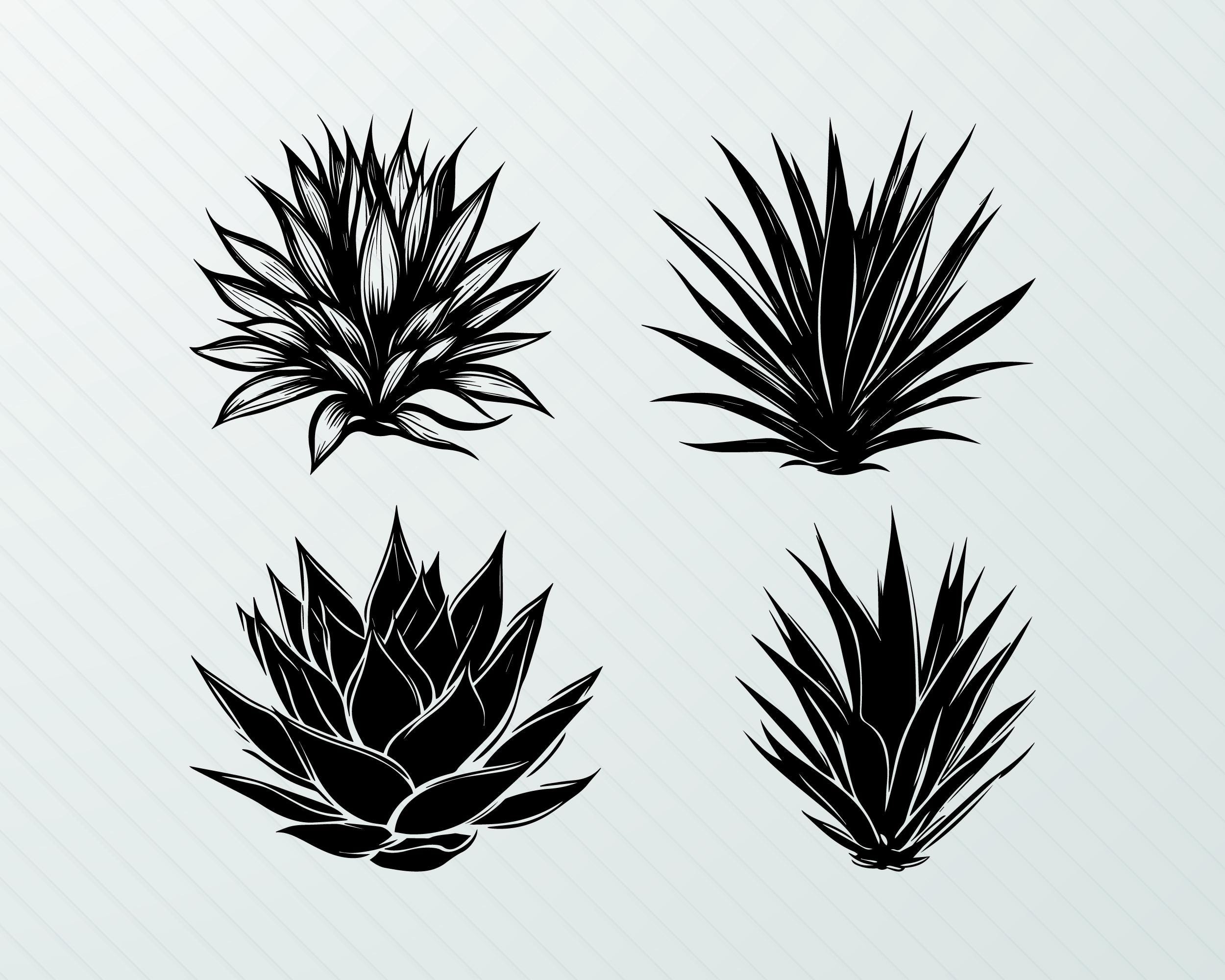 Agave Plant SVG PNG: Clipart Silhouette Vector Cut Files - Etsy