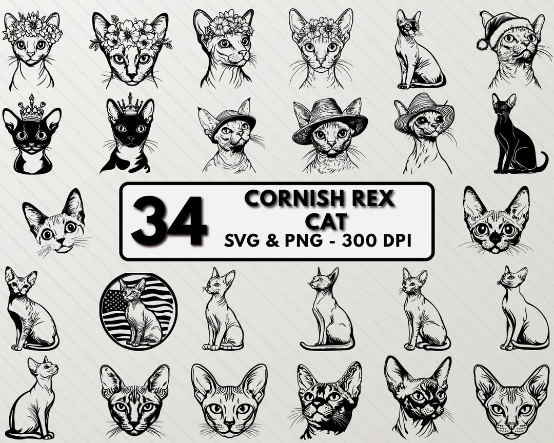 Cornish Rex Cat SVG Bundle: Silhouette Vector Png Clipart (300 DPI) - Etsy