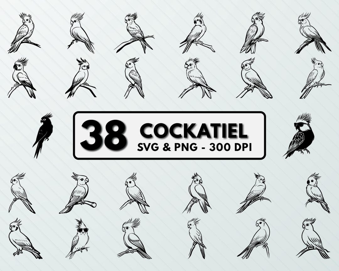 Cockatiel Svg Png, Cockatiel Clipart, Cockatiel Silhouette, Vector ...