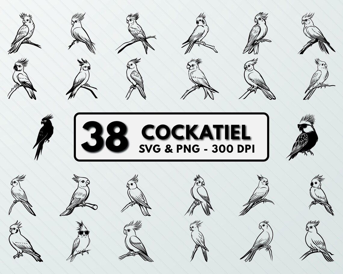Cockatiel SVG PNG Clipart: Vector Cut Files, Decals - Etsy