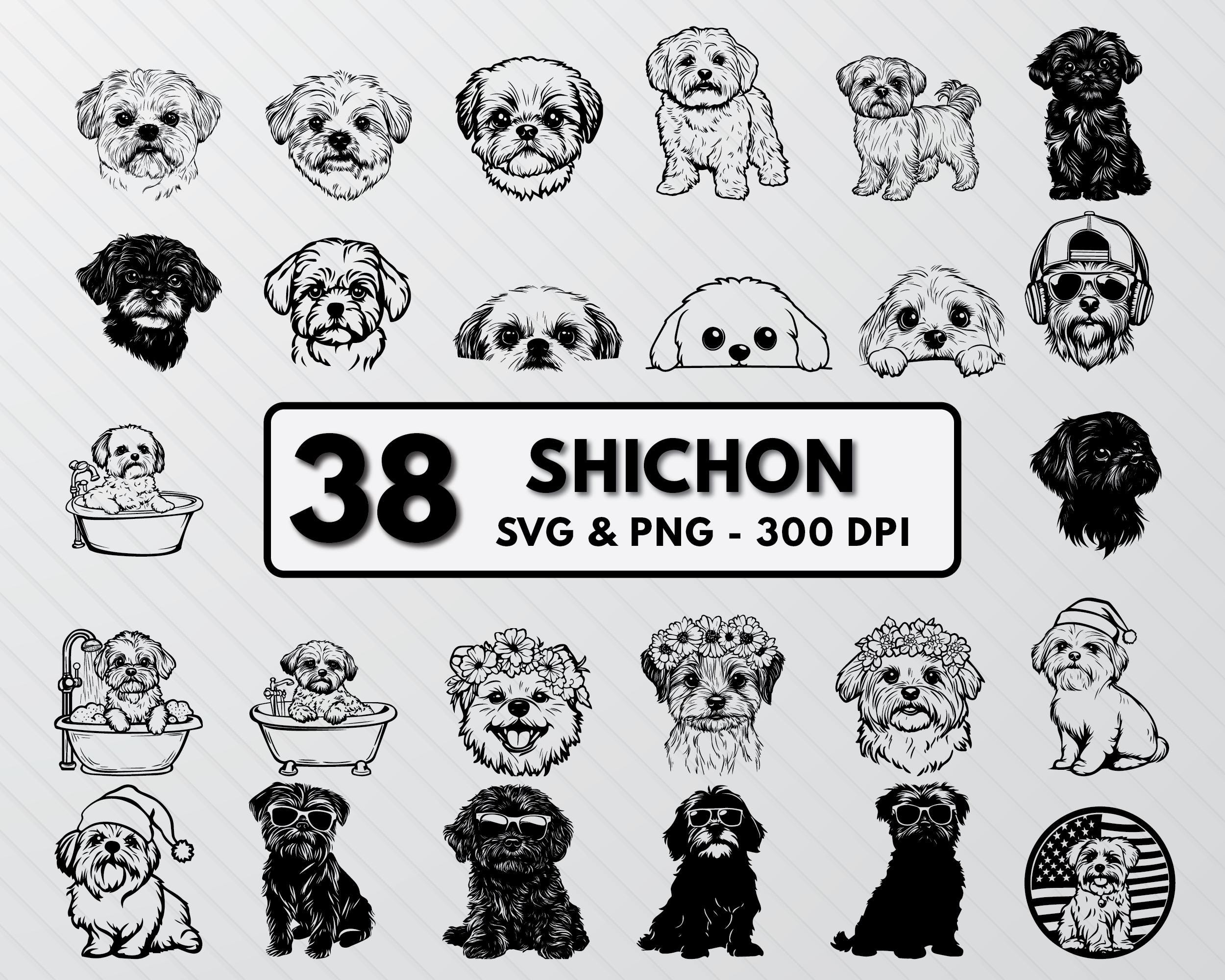 Shichon Dog Svg Bundle, Shichon Silhouette, Shichon Vector Art, Shichon ...