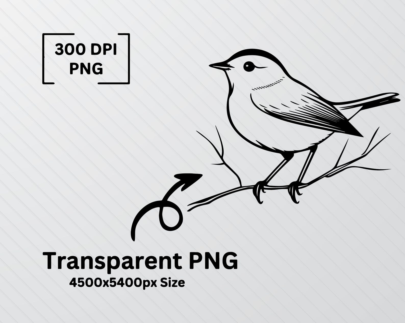 Wren Svg Bundle, Wren Bird Silhouette, Little Bird Line Art Svg Design ...