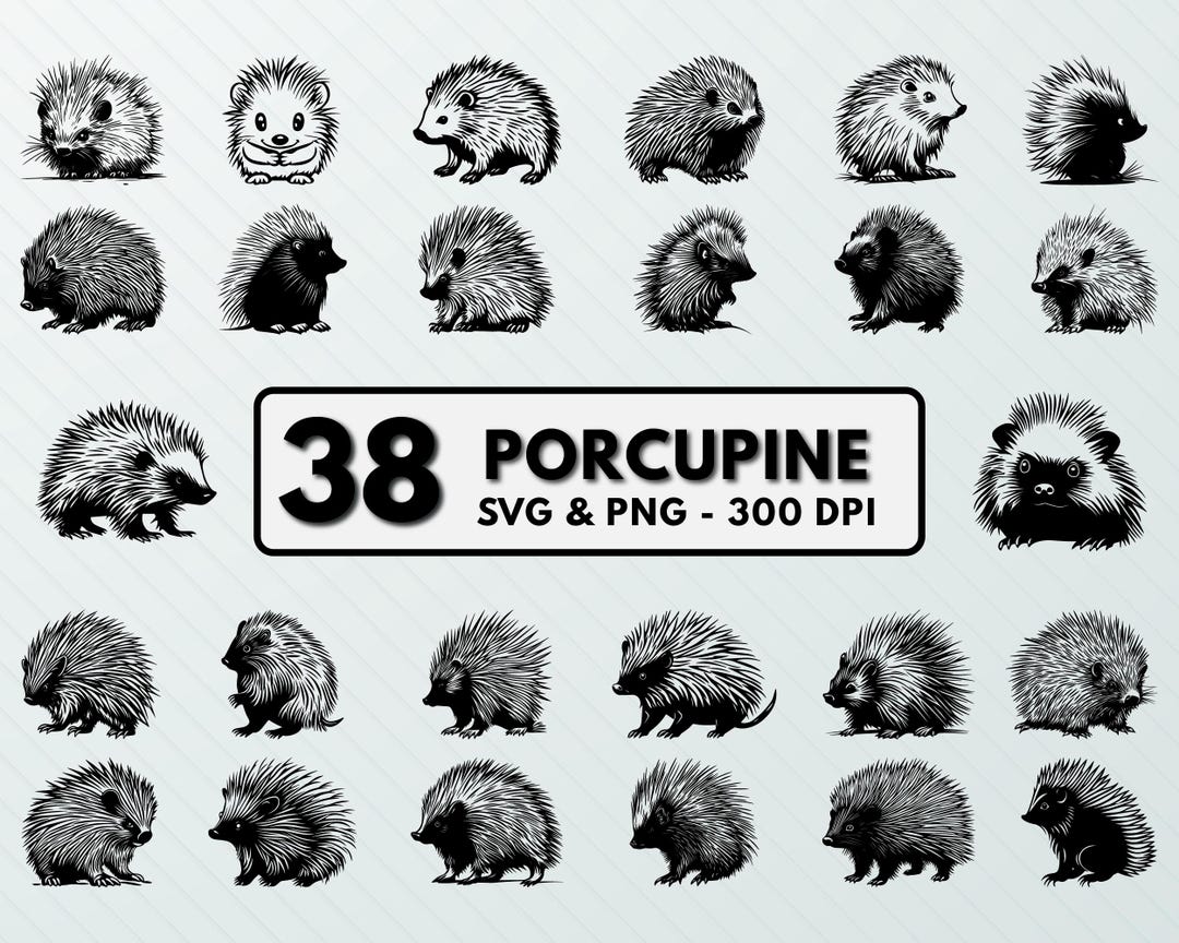 Porcupine Svg Png, Porcupine Clipart, Porcupine Silhouette, Porcupine ...