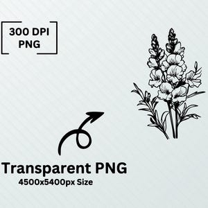 Snapdragon Flower Svg Png, Snapdragon Clipart, Floral Silhouette, Decal ...