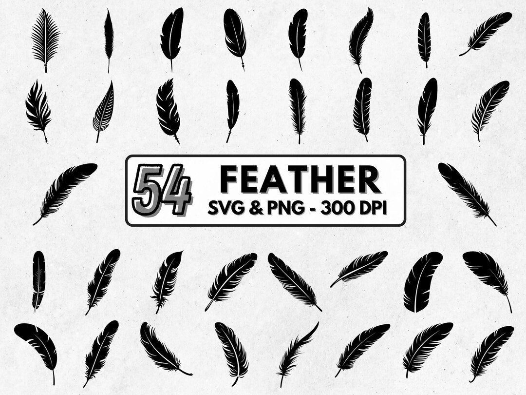 Feather Svg Bundle, Feathers Silhouette, Feather Clipart Png, Feather ...