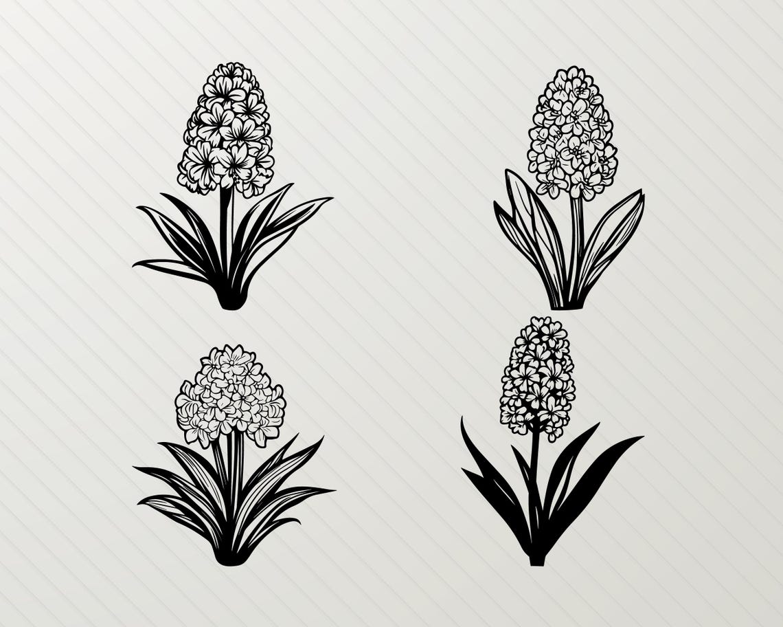 Hyacinth SVG Bundle: Spring Flower Clipart (PNG, Vector) - Etsy