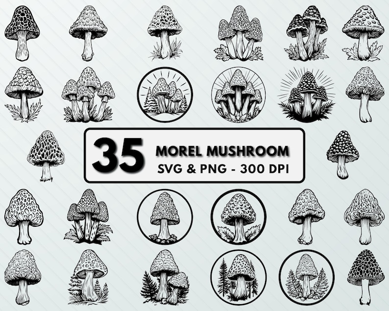 Morel Mushroom Svg Png, Morel Mushroom Clipart, Morel Mushroom ...