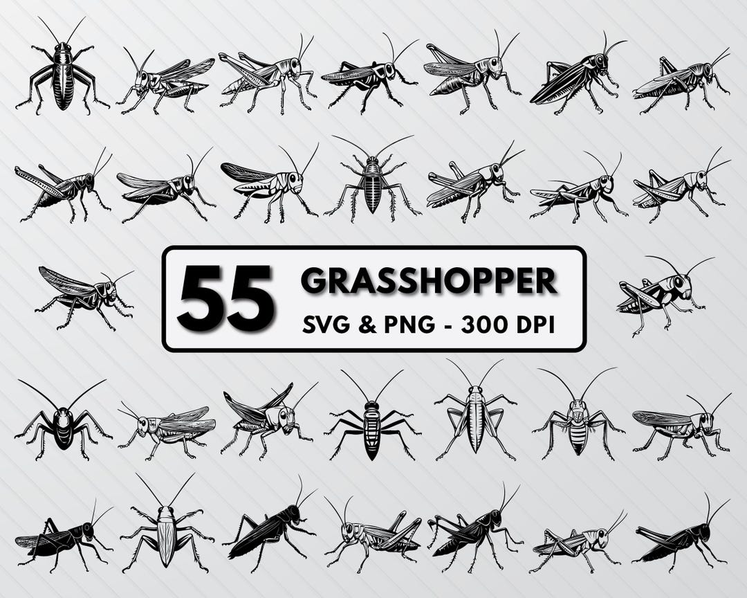 Grasshopper Svg Bundle, Grasshopper Silhouette, Grasshopper Png, Green ...