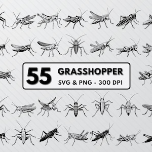 Grasshopper Svg Bundle, Grasshopper Silhouette, Grasshopper Png, Green ...