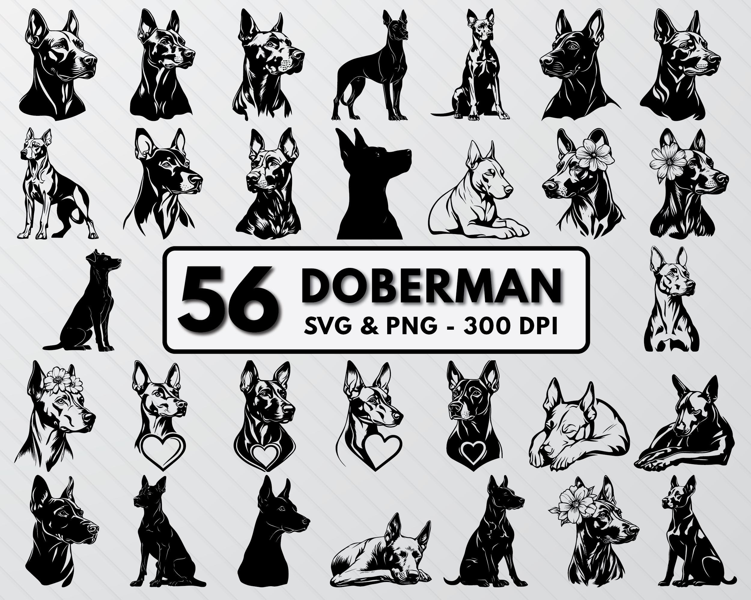Doberman Dog Silhouette, Doberman Svg Bundle, Doberman Png Clipart ...