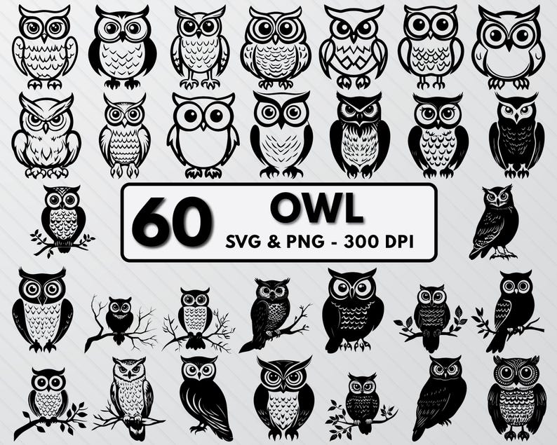 Owl Silhouette Vector Art Svg, Owl Svg Bundle Set Line Art, Owl Cricut ...