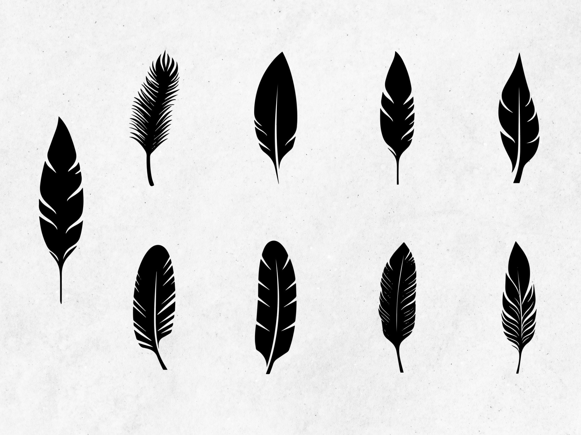 Feather Svg Bundle, Feathers Silhouette, Feather Clipart Png, Feather ...