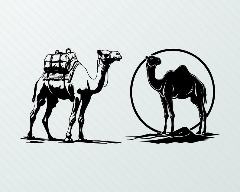 Camel Svg Png Bundle, Camel Clipart, Camel Silhouette, Camel Vector ...
