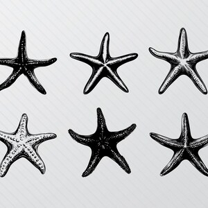 Starfish SVG Bundle: Sea Fish Clipart, Vector Cut Files - Etsy