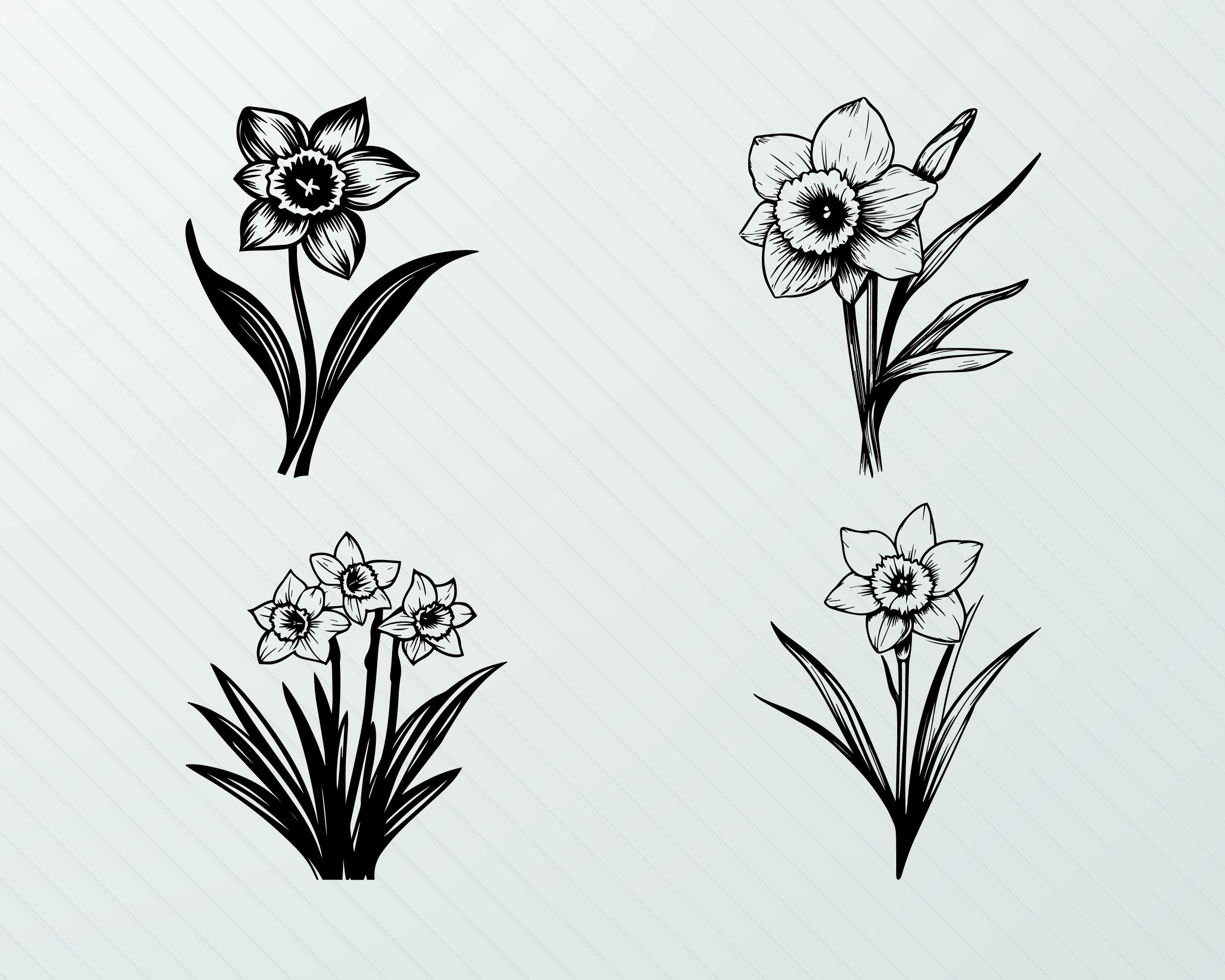 Daffodil Flower Svg, Daffodil Flower Png, Birth Month Flower, Narcissus ...