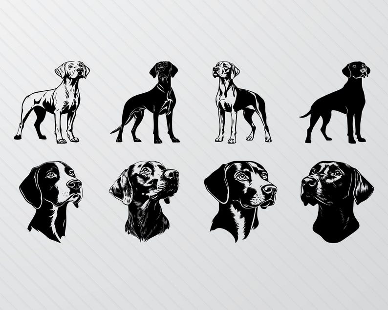 English Pointer Silhouette: Dog Breed Vector SVG PNG Bundle - Etsy