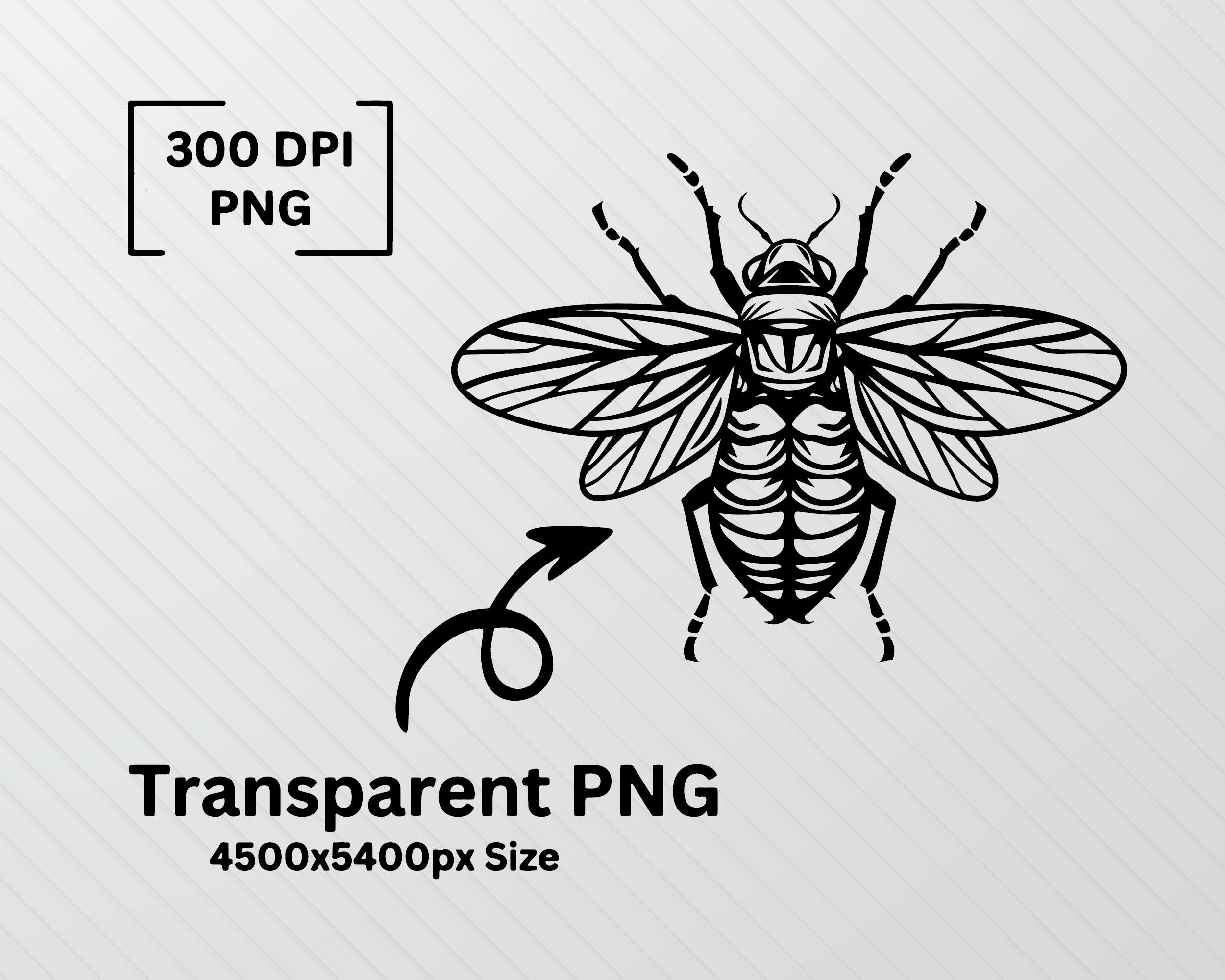 Cicada Silhouette SVG Bundle: Insect Clipart, Decal Vector (digital ...