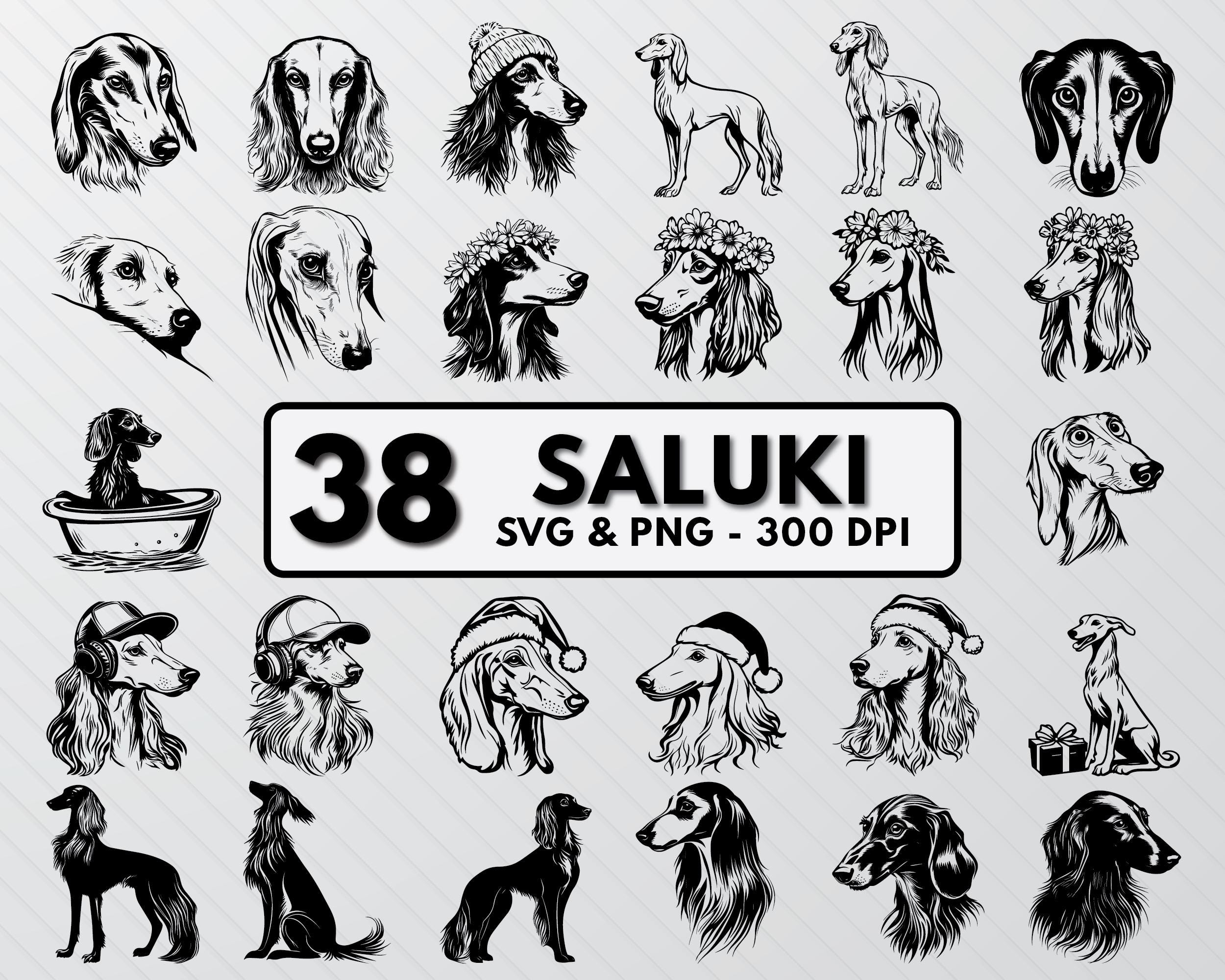 Saluki Svg Bundle, Saluki Silhouette, Dog Breeds Clipart, Saluki Figurine Decal Vector, Siu ...