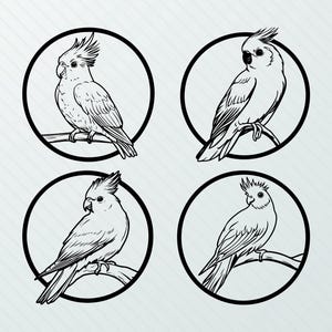 Cockatiel SVG PNG Clipart: Vector Cut Files, Decals - Etsy