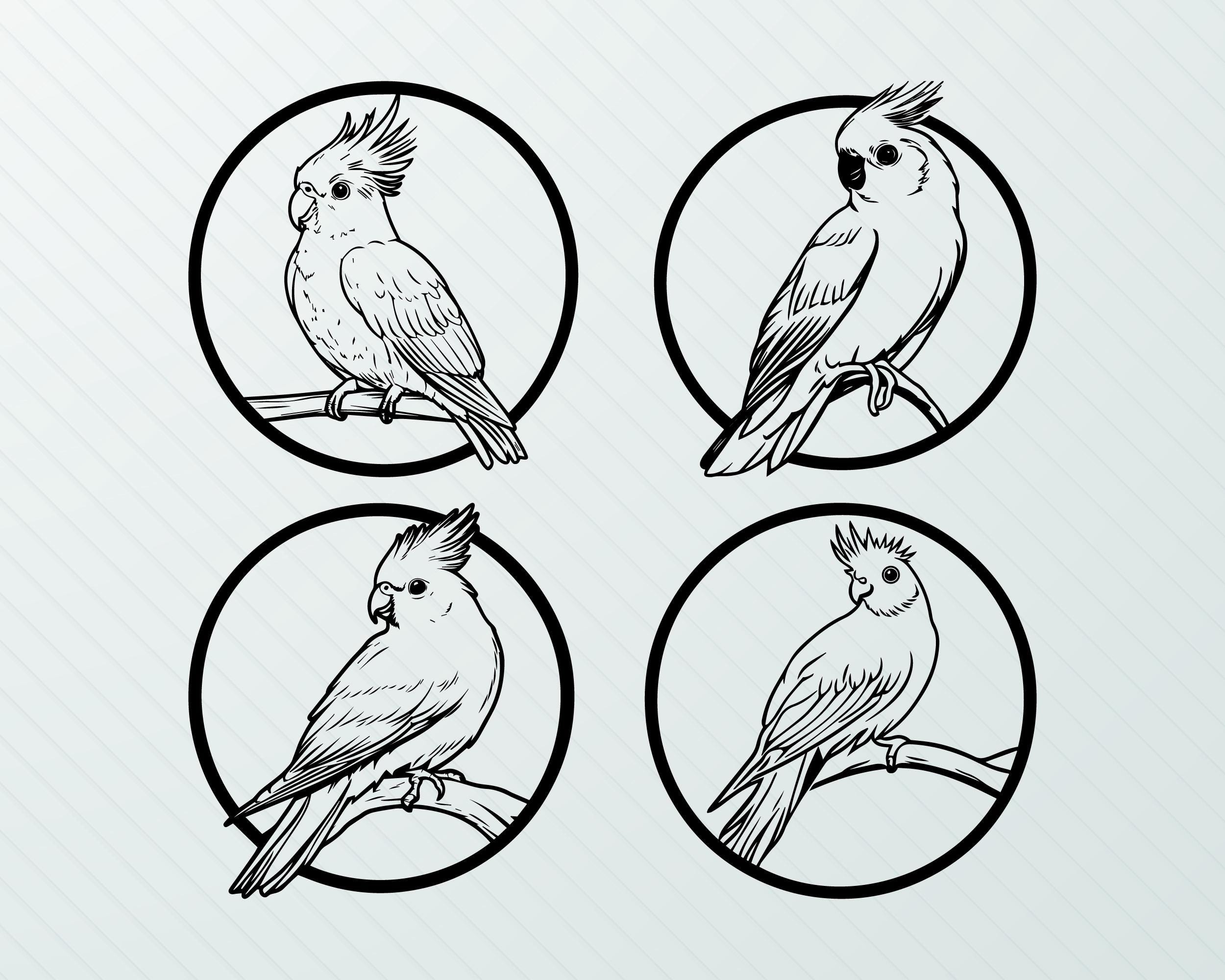 Cockatiel Svg Png, Cockatiel Clipart, Cockatiel Silhouette, Vector ...
