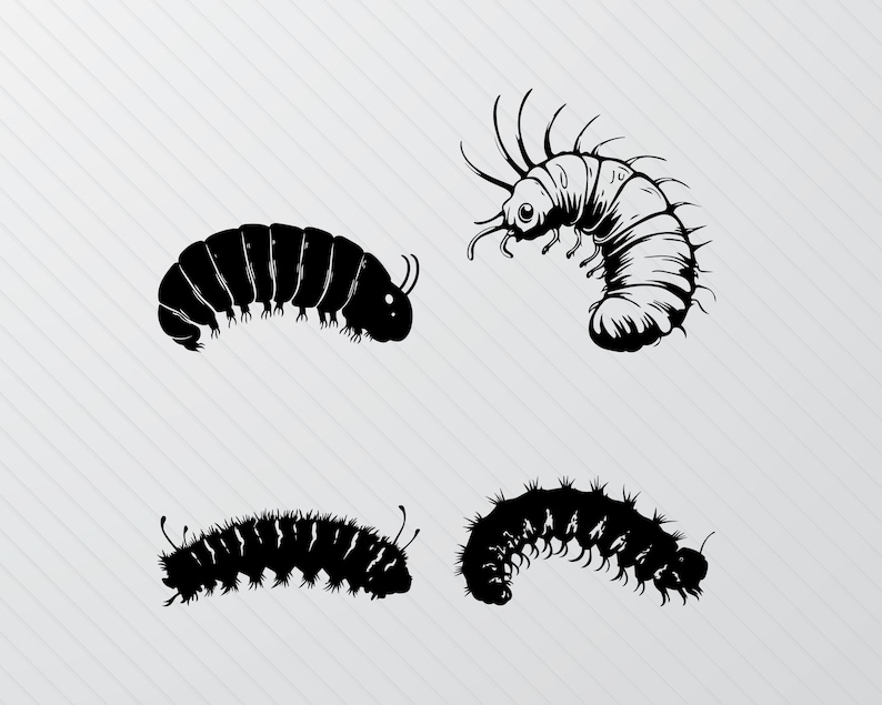 Caterpillar SVG Bundle: Spring Insect Clipart (PNG, Vector) - Etsy