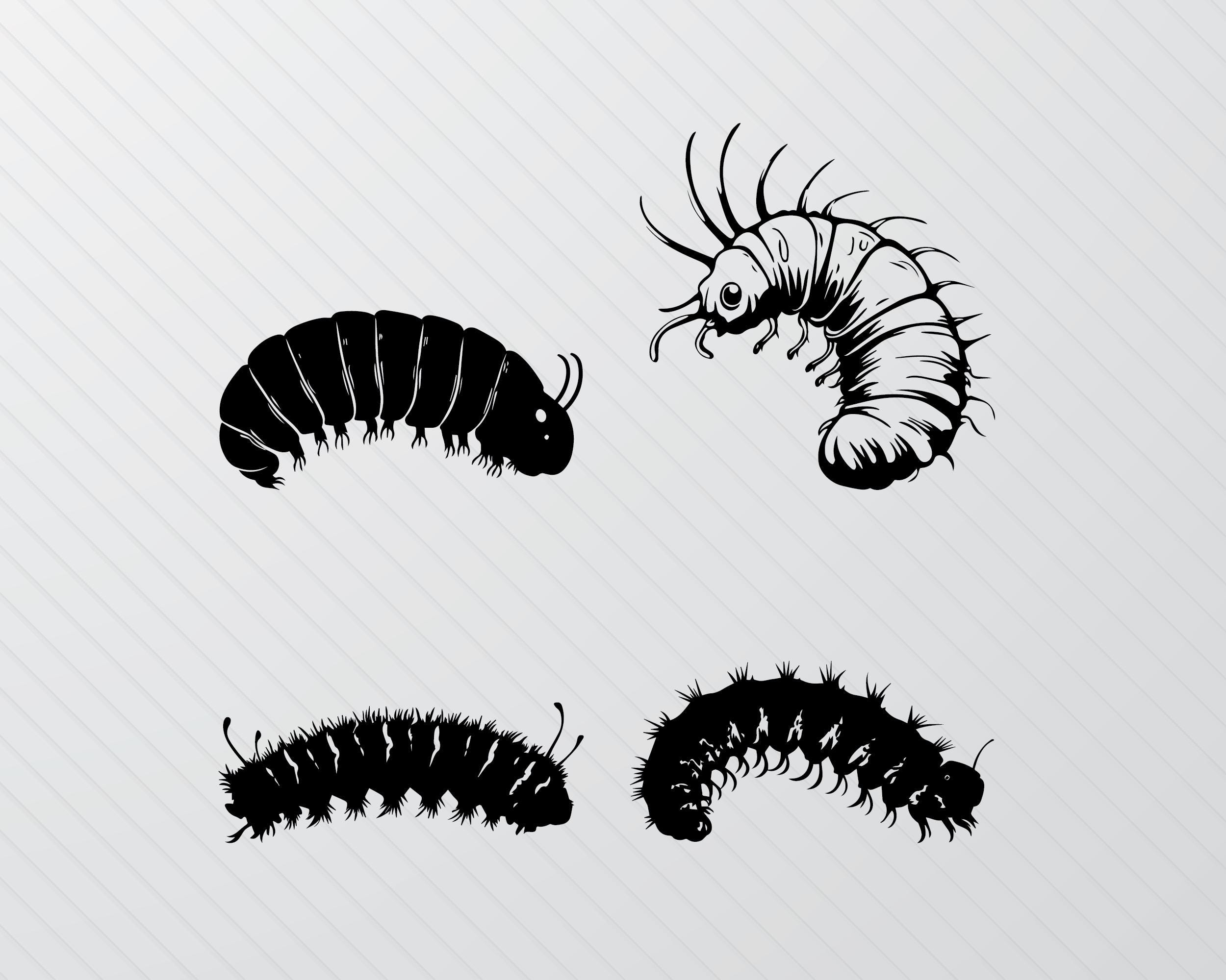 Caterpillar Svg Bundle, Caterpillar Silhouette, Spring Caterpillar ...