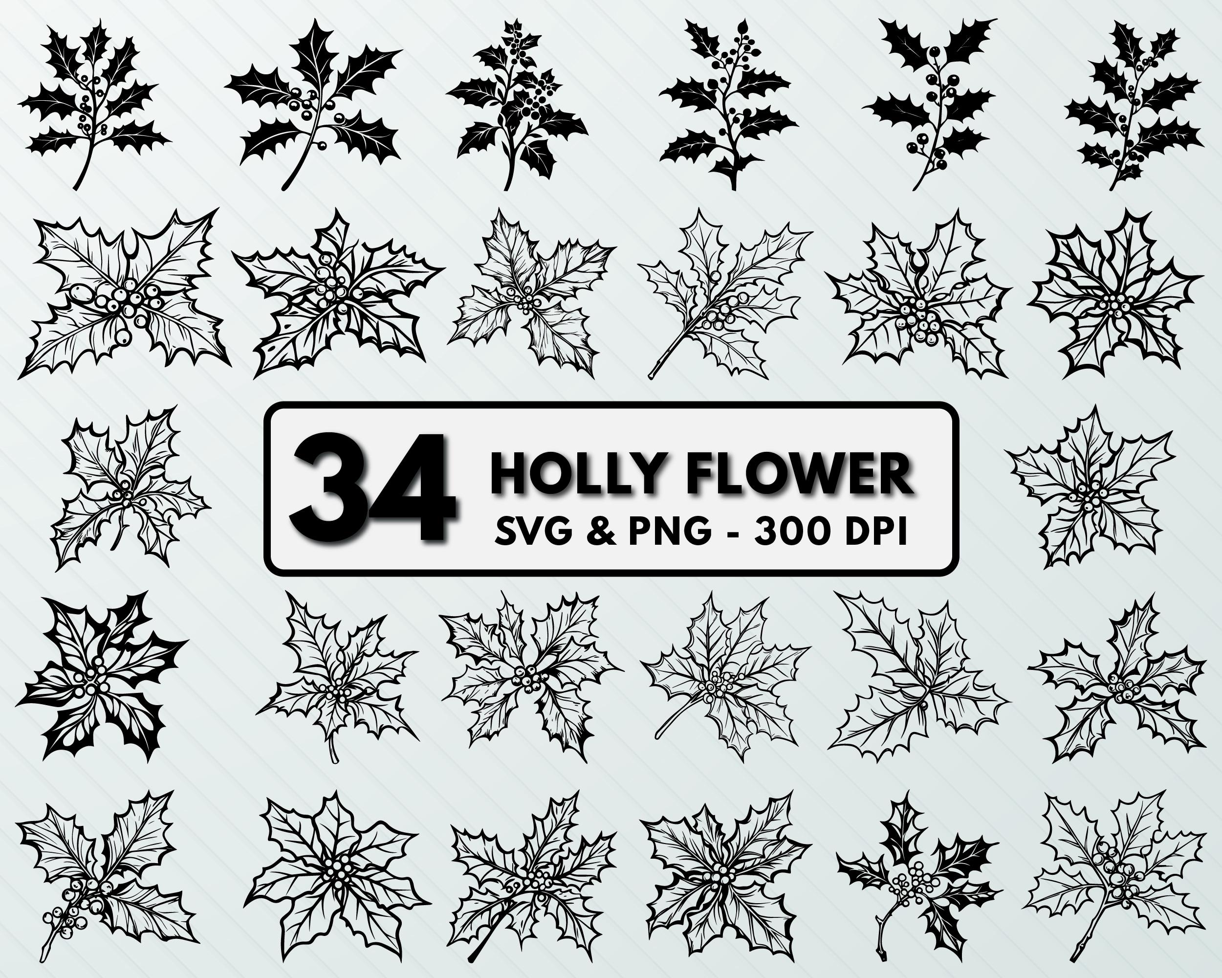 Holly Flower SVG: December Birth Flower Clipart (PNG, Cut Files) - Etsy