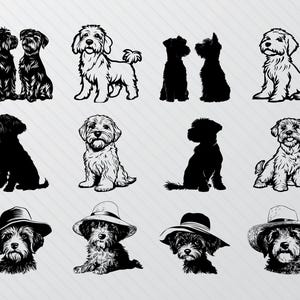 Schnoodle Dog Svg, Schnoodle Silhouette Svg, Dogs Clipart, Schnoodle ...