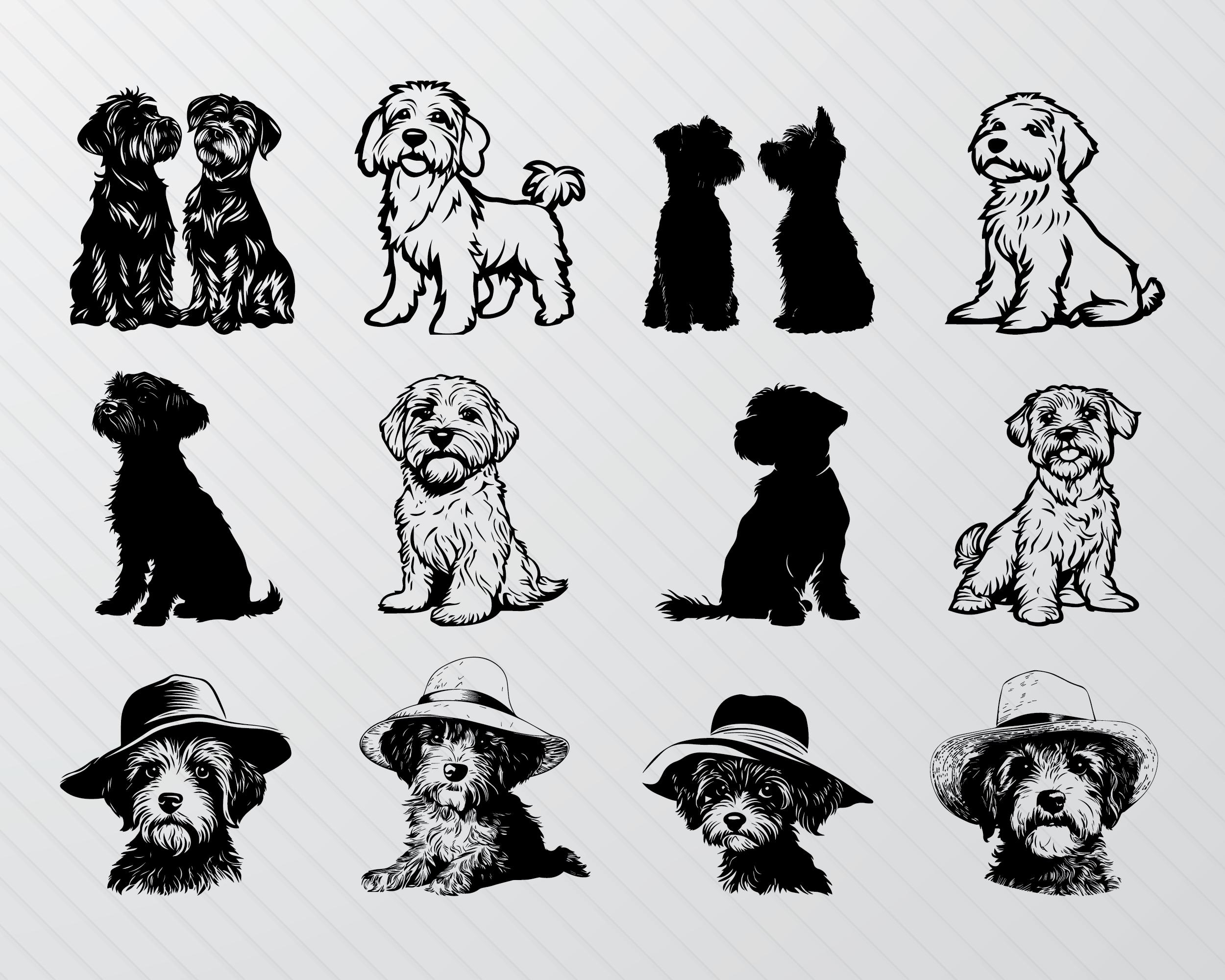 Schnoodle Dog Svg, Schnoodle Silhouette Svg, Dogs Clipart, Schnoodle ...