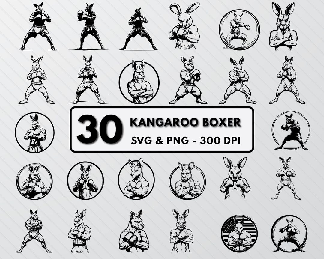 Kangaroo Boxer Svg Bundle, Kangaroo Boxer Silhouette, Kangaroo Vector ...