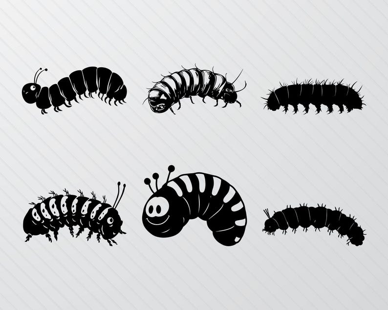 Caterpillar Svg Bundle, Caterpillar Silhouette, Spring Caterpillar ...