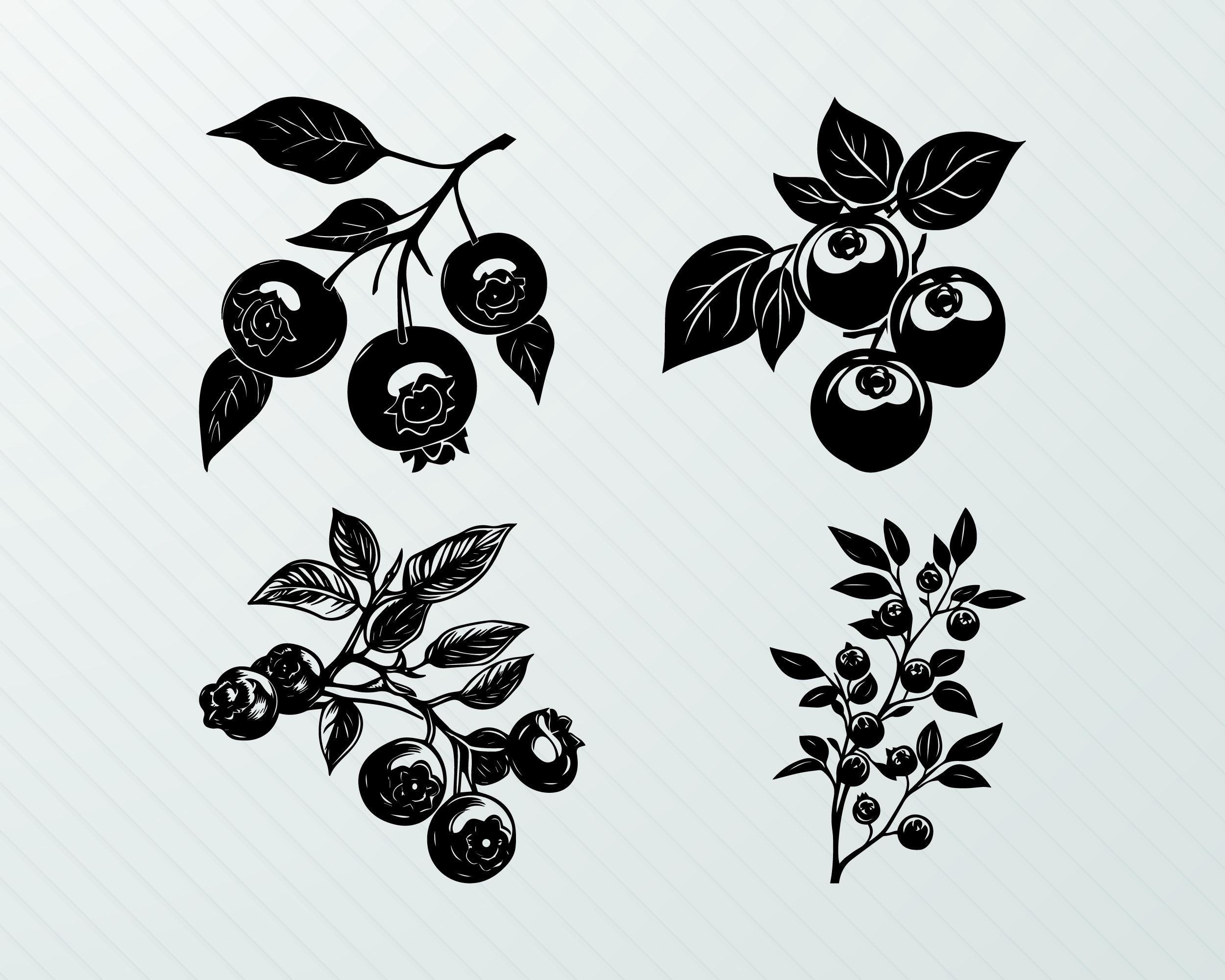 Blueberry Clipart: 58 SVG & PNG Files, Fruit Designs - Etsy