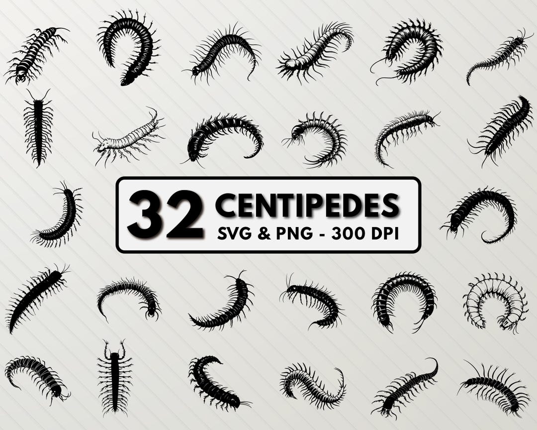 Centipede SVG Bundle: Insect Silhouette, Line Art (PNG) - Etsy