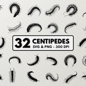Centipede SVG Bundle: Insect Silhouette, Line Art (PNG) - Etsy