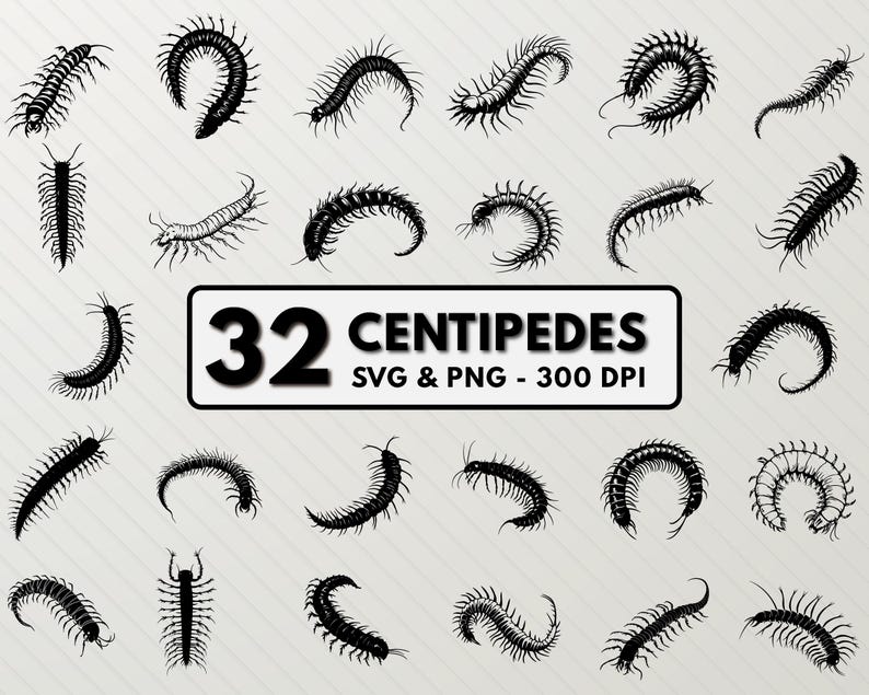 Centipede SVG Bundle: Insect Silhouette, Line Art (PNG) - Etsy