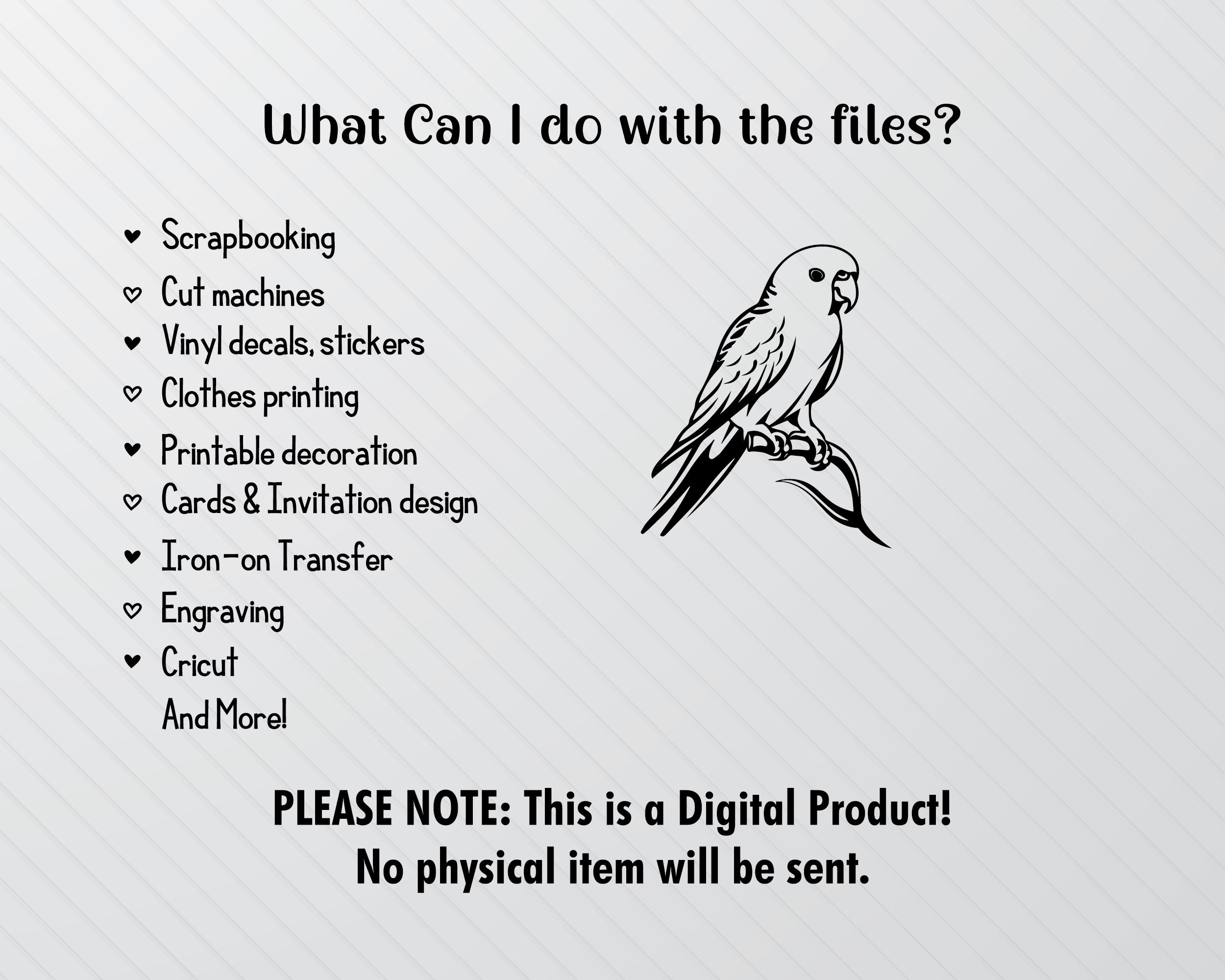 Budgie Silhouette Svg, Budgie Svg Cut File, Budgie Bird Clipart ...